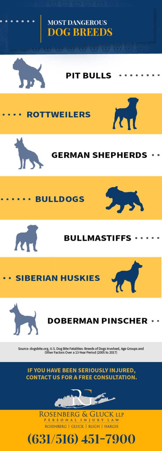 Most Dangerous Dog Breeds | Aggressive Dog Breeds